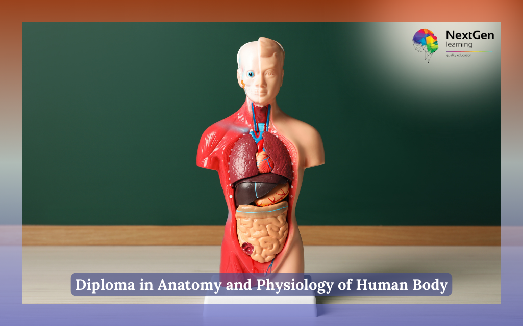 Diploma in Anatomy and Physiology of Human Body – Next Generation Learning