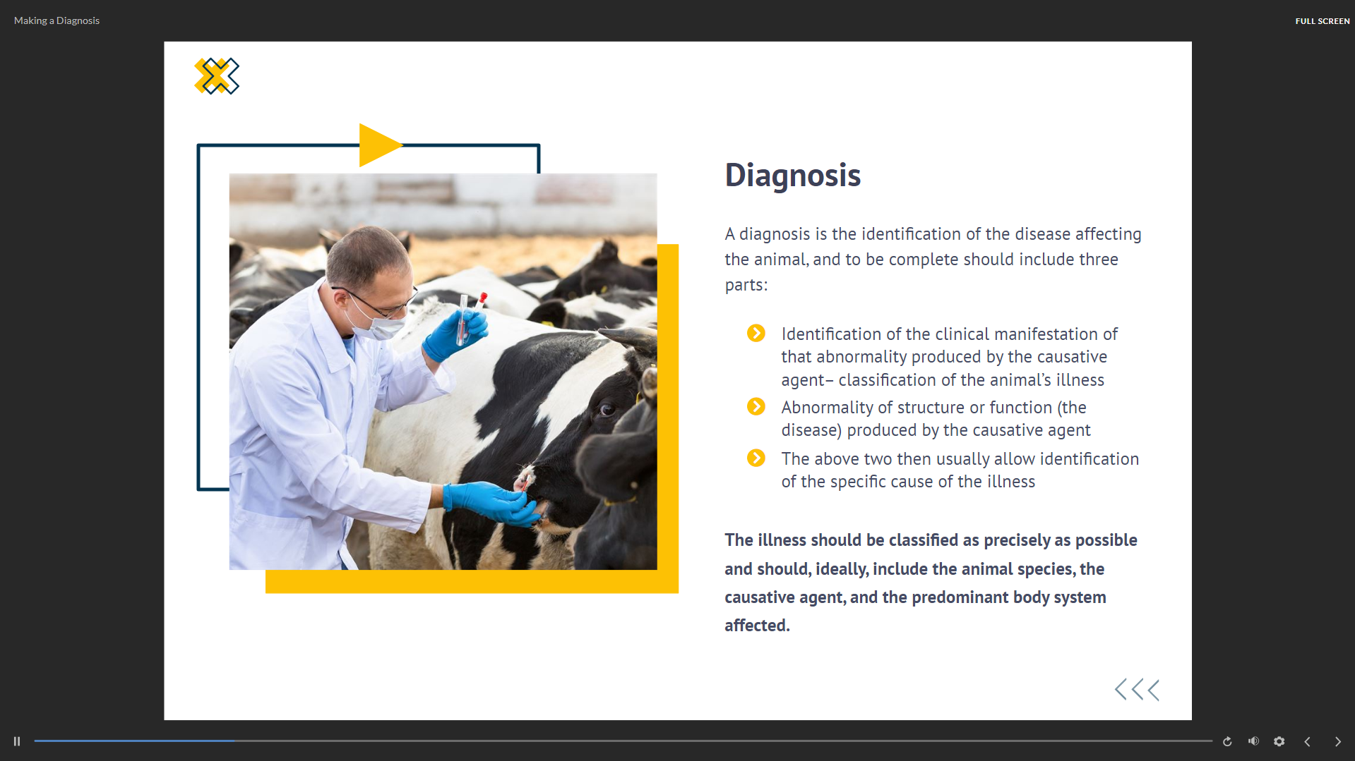 Veterinary Medicine – Next Generation Learning