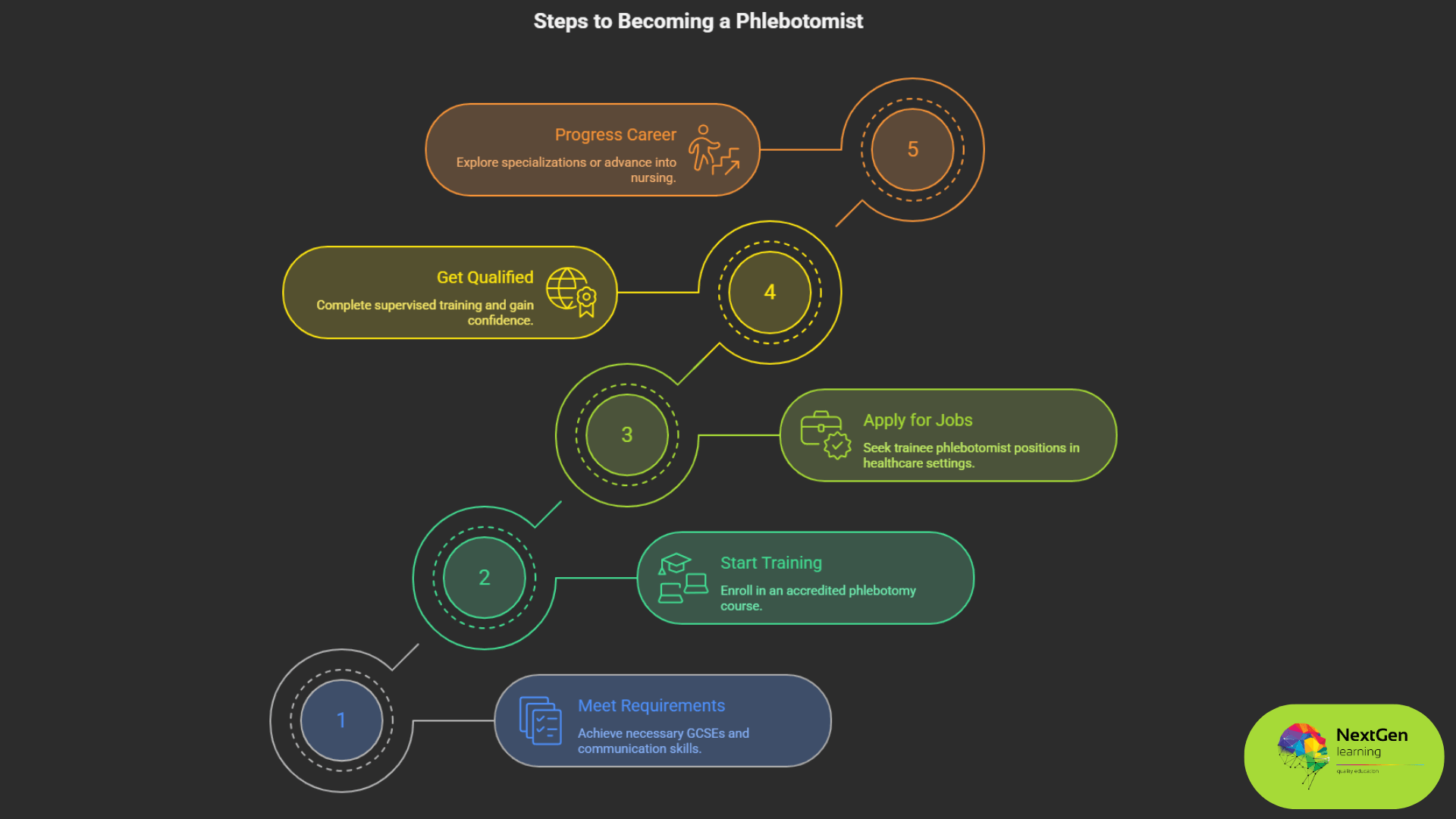 How to Become a Phlebotomist in the UK: Training & Career Path