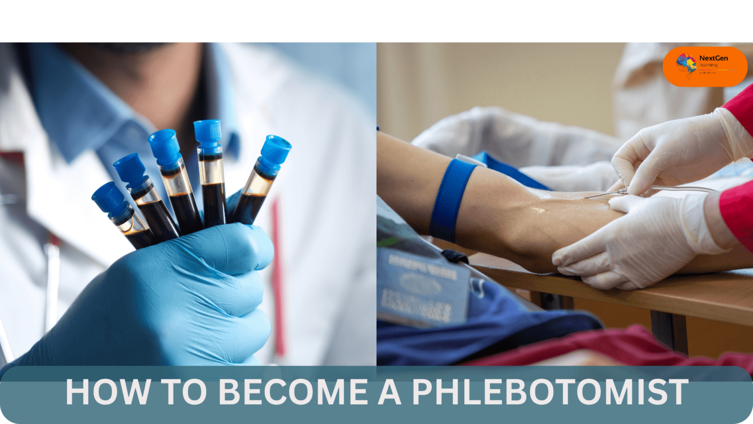 How to Become a Phlebotomist in the UK: Training & Career Path